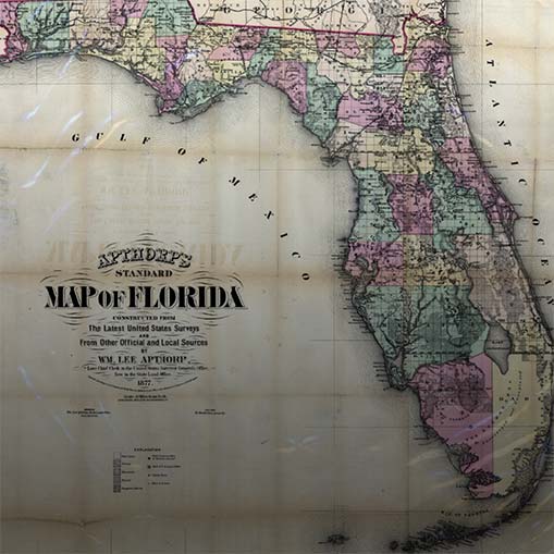 USF Libraries - Home